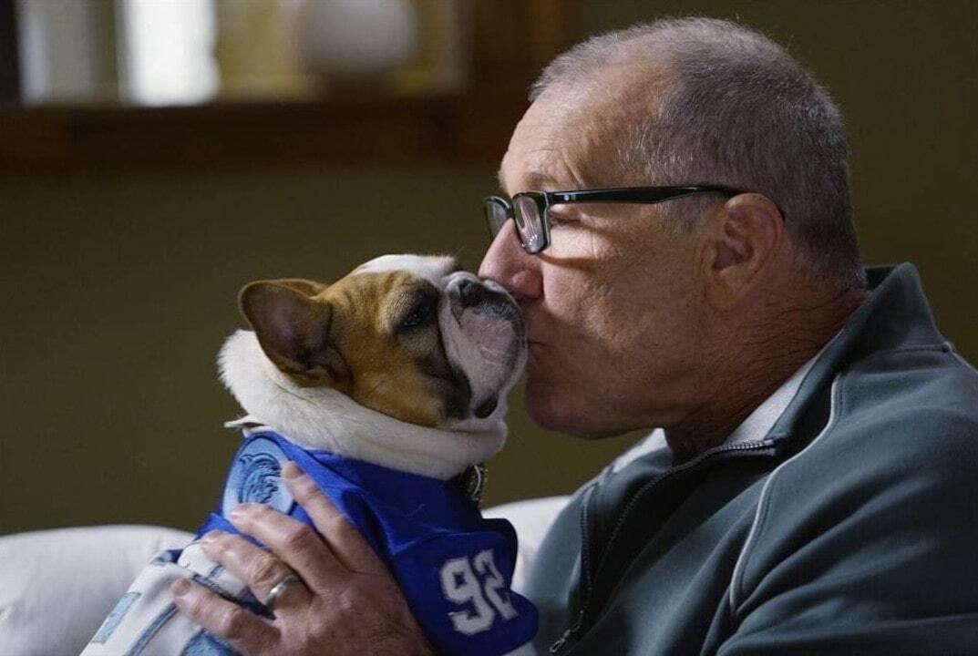 20 famous animal actors