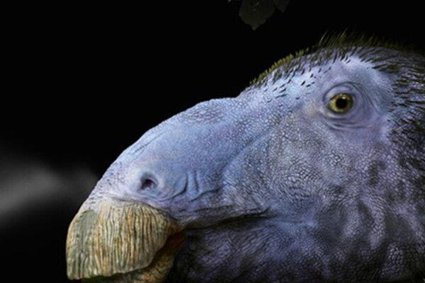 Scoperto un dinosauro con aculei come un porcospino