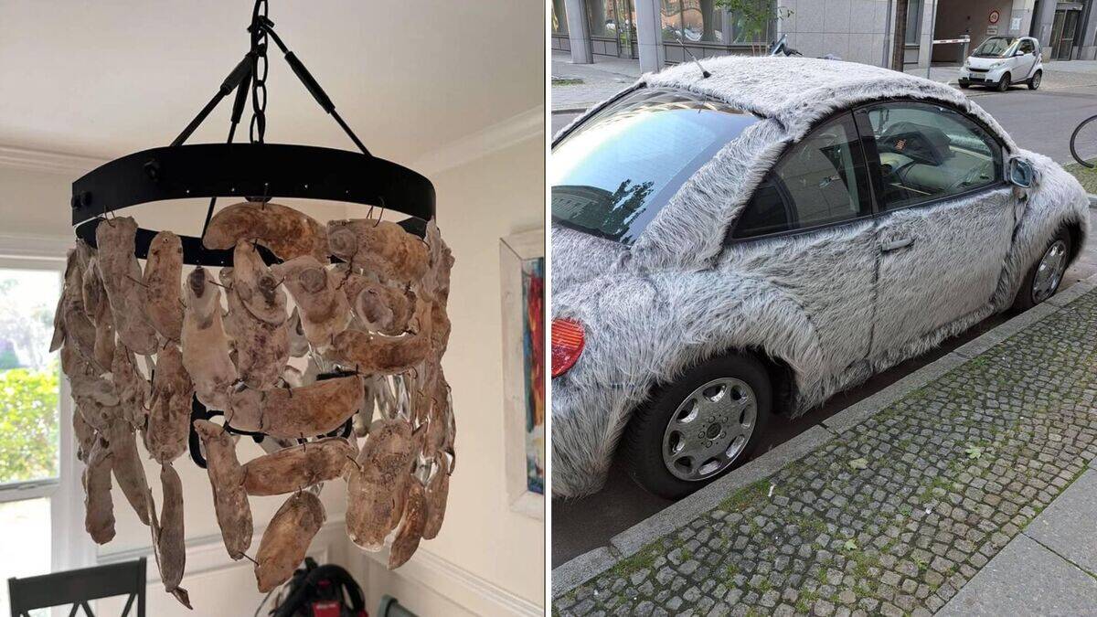 Strange items that had us wondering why anyone would make them
