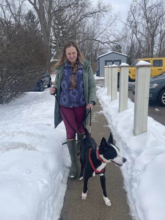 South Haven-area animal shelter offers 'blind dates' for Valentine's Day