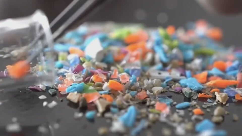 The growing health concerns of microplastics and what you can do to ...