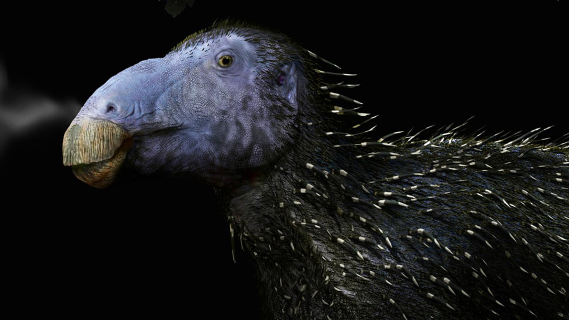 Scoperto un dinosauro con aculei come un porcospino