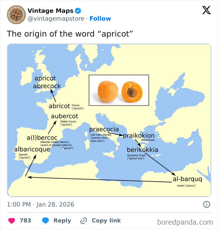 62 cool maps that range from ridiculously funny to actually educational