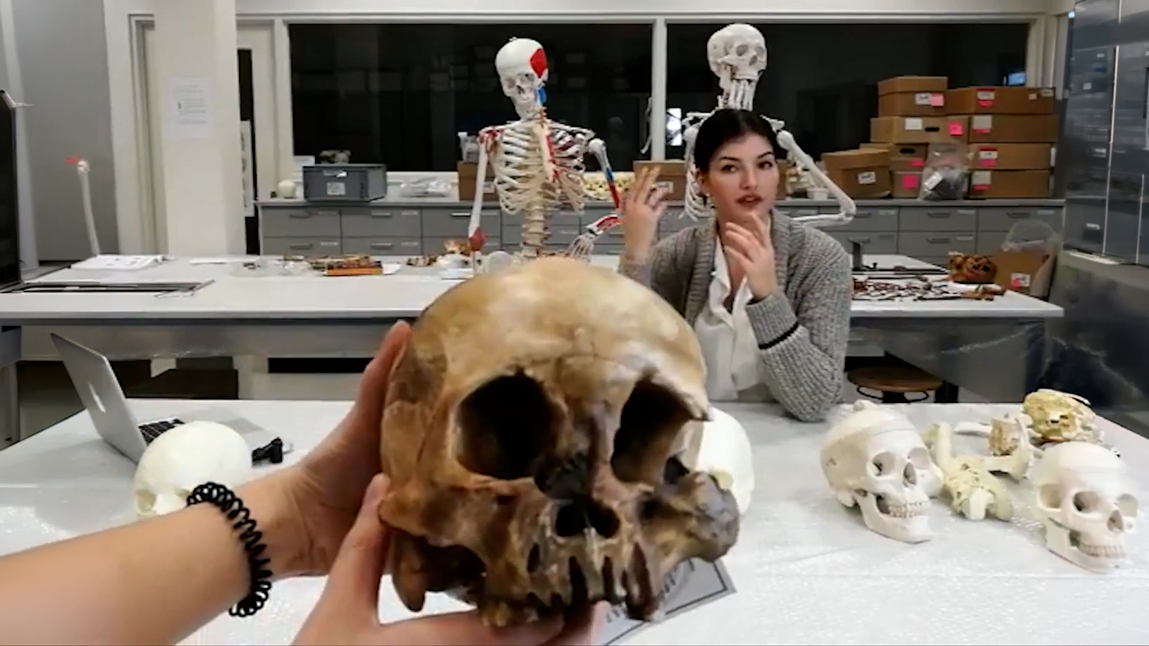 Reading trauma and body modification in human skeletons