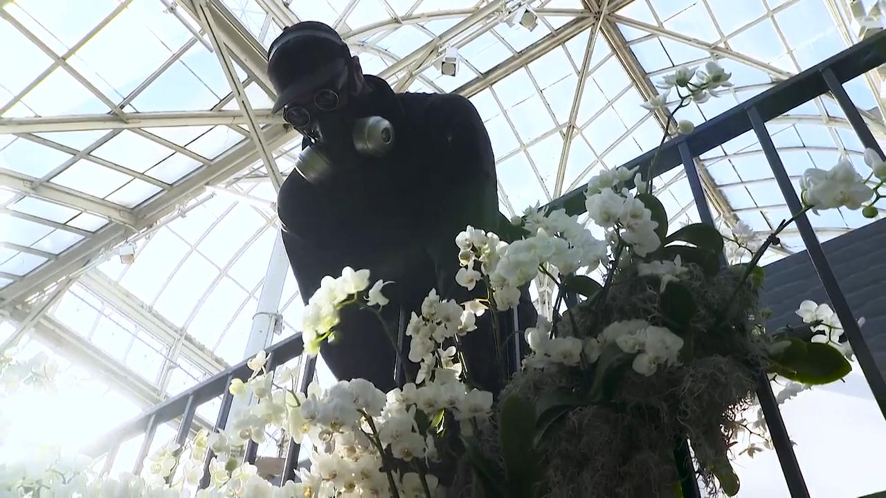Mr. Flower Fantastic turns orchids into a love letter to New York at NY ...