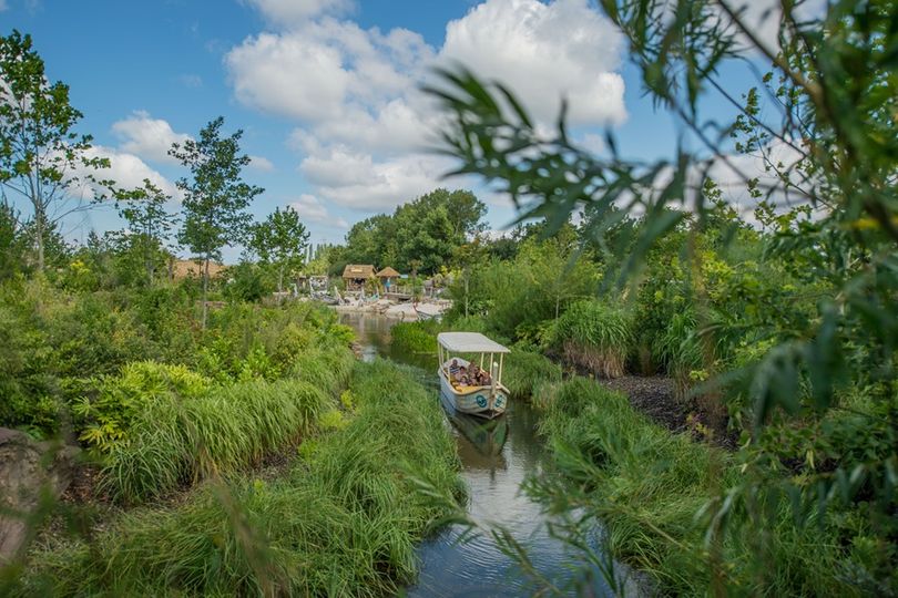 Chester Zoo saves entire species thought 'lost forever' from going extinct