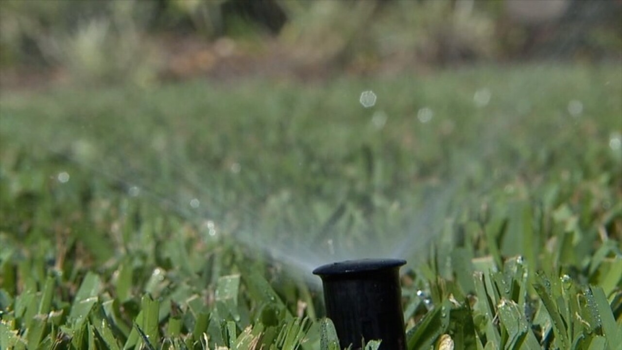 IFAS shares tips for lawns during current drought and upcoming watering ...