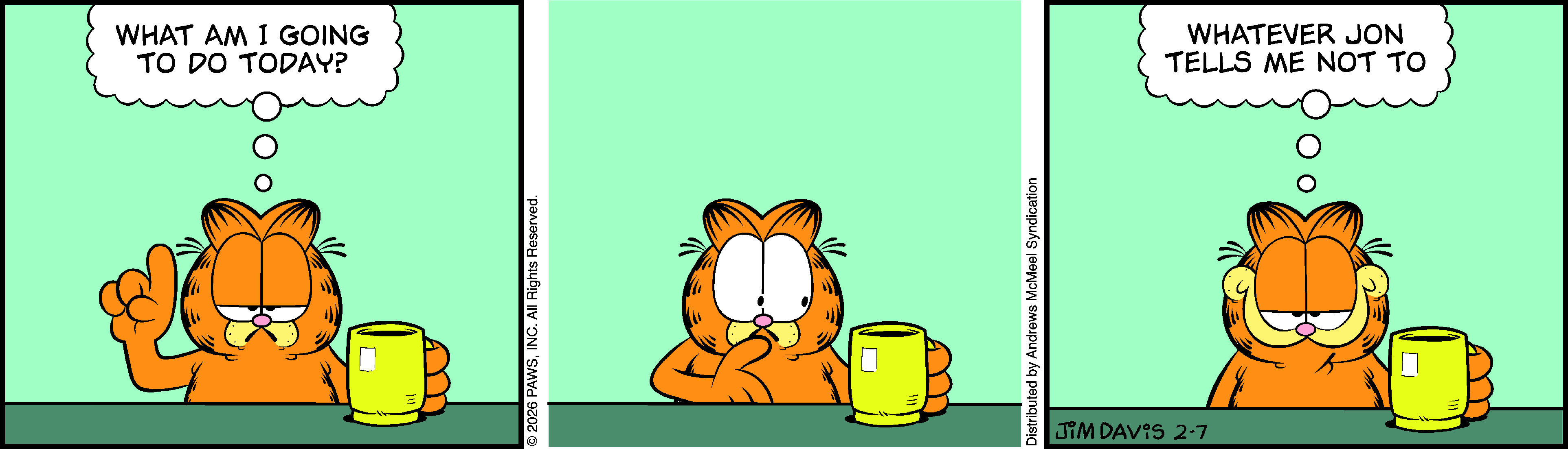 Garfield by Jim Davis