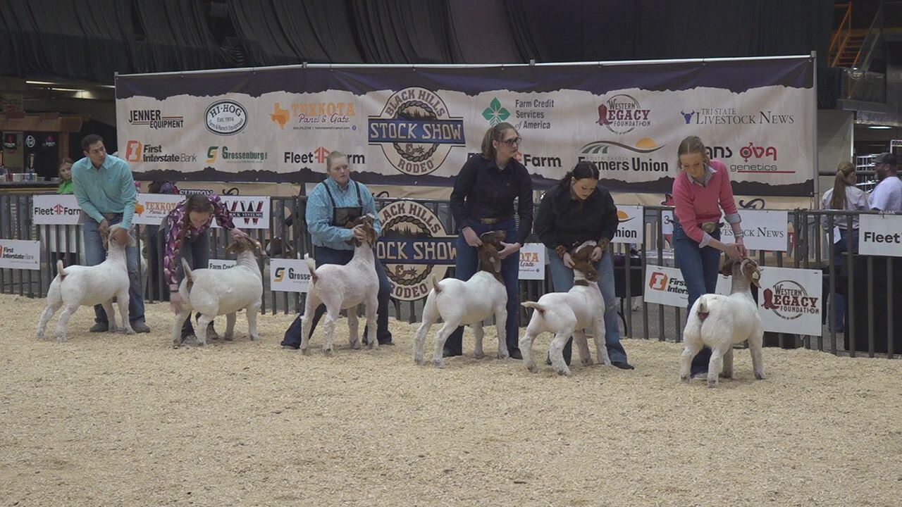 Young competitors showcase goats at Black Hills Stock Show and Rodeo