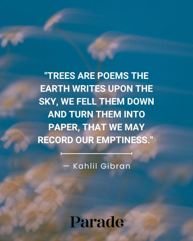125 inspiring wisdom quotes to shape your perspective on life