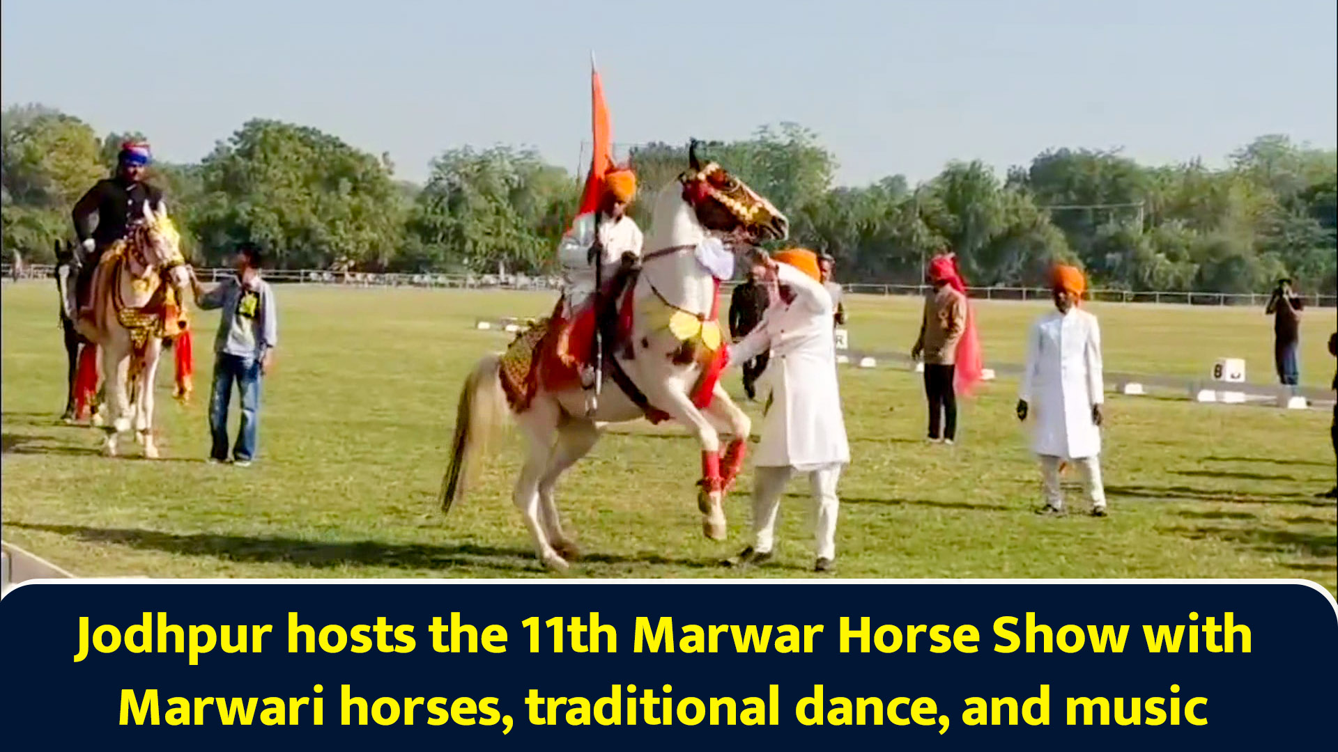 Jodhpur hosts the 11th Marwar Horse Show with Marwari horses ...