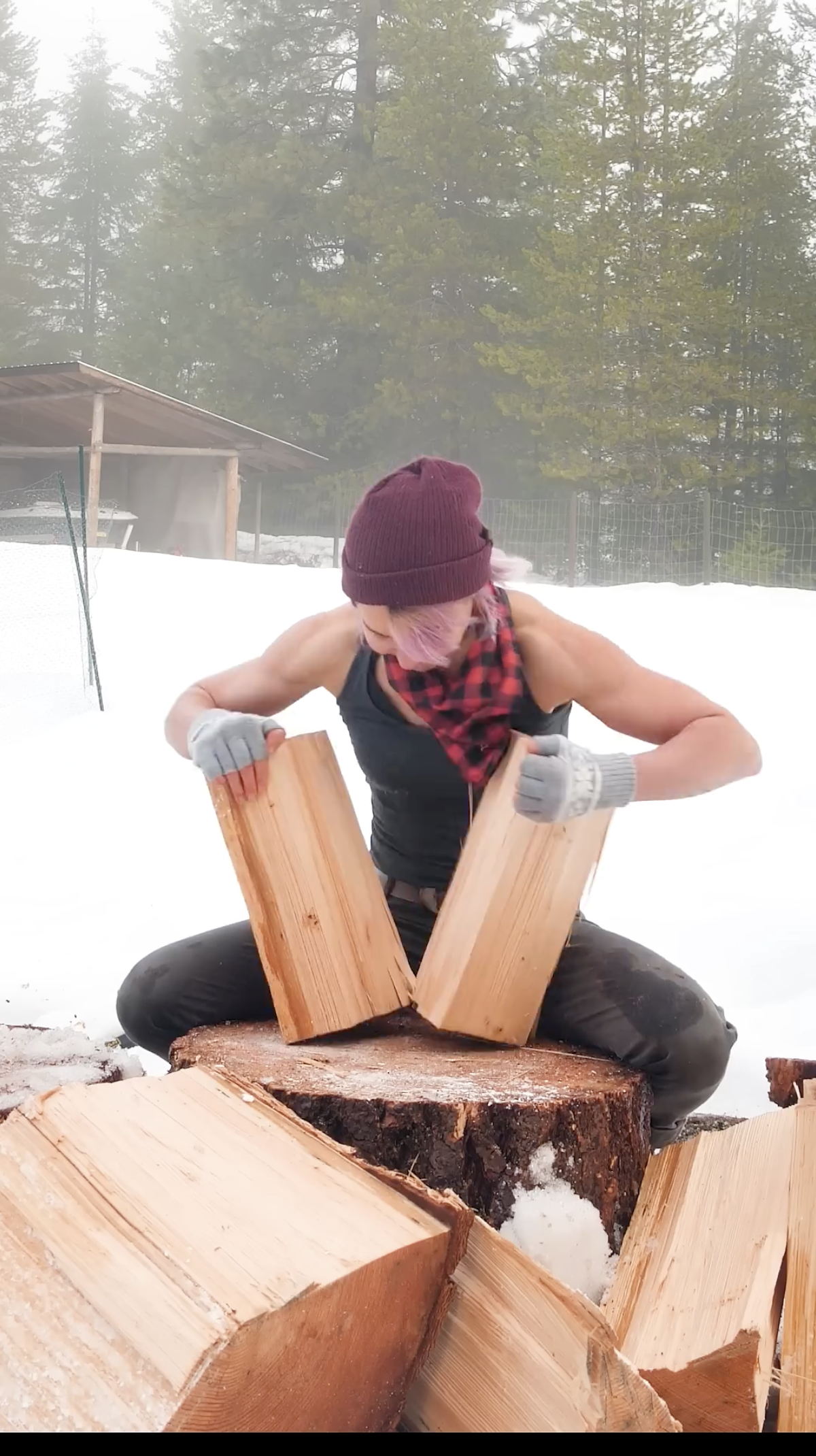 Another day another round of wood chopping