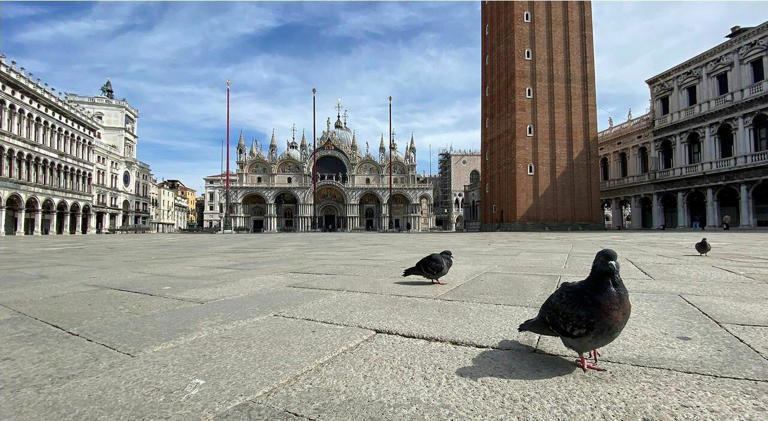 Vende mangime per i colombi in Piazza San Marco, poi fa la foto ai ...