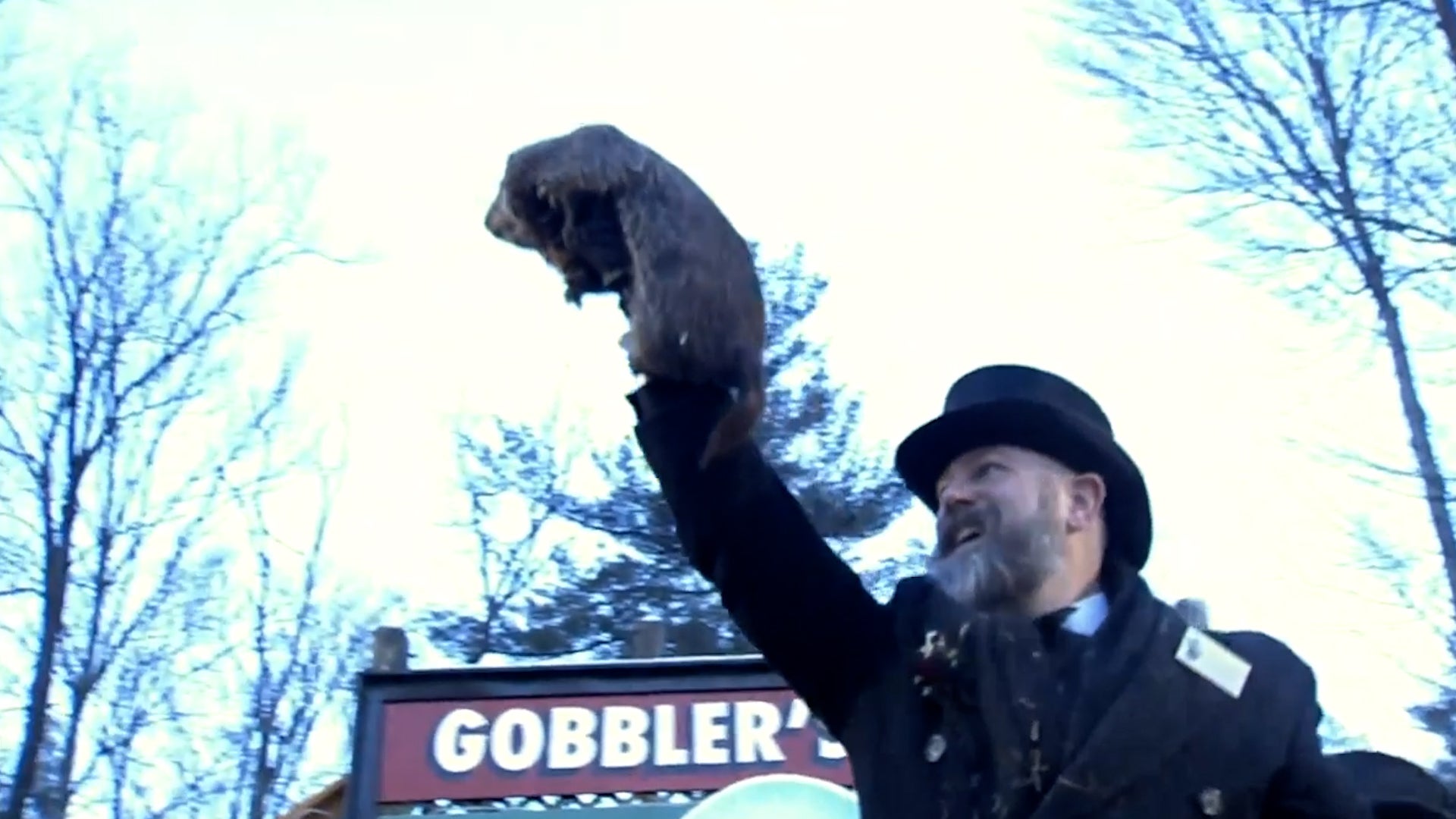 The wild side of winter weather forecasting