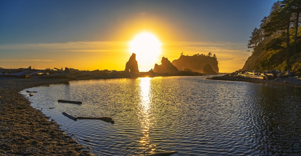14 Washington tide pool beaches that turn a low tide into a field trip