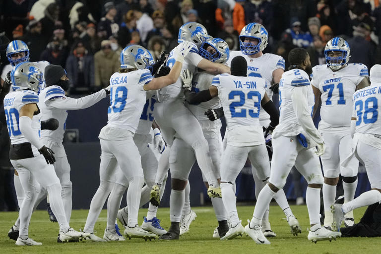 Lions fan strikes back with $100 million lawsuit after investigation ...