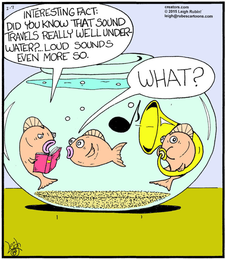 The best of 'Rubes' comics by Leigh Rubin