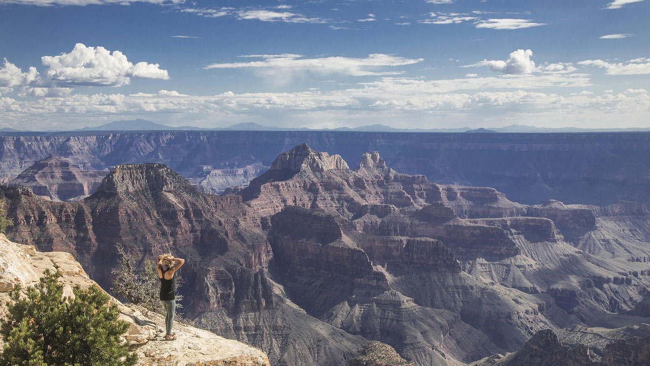 States where terrain—not animals—is the biggest threat