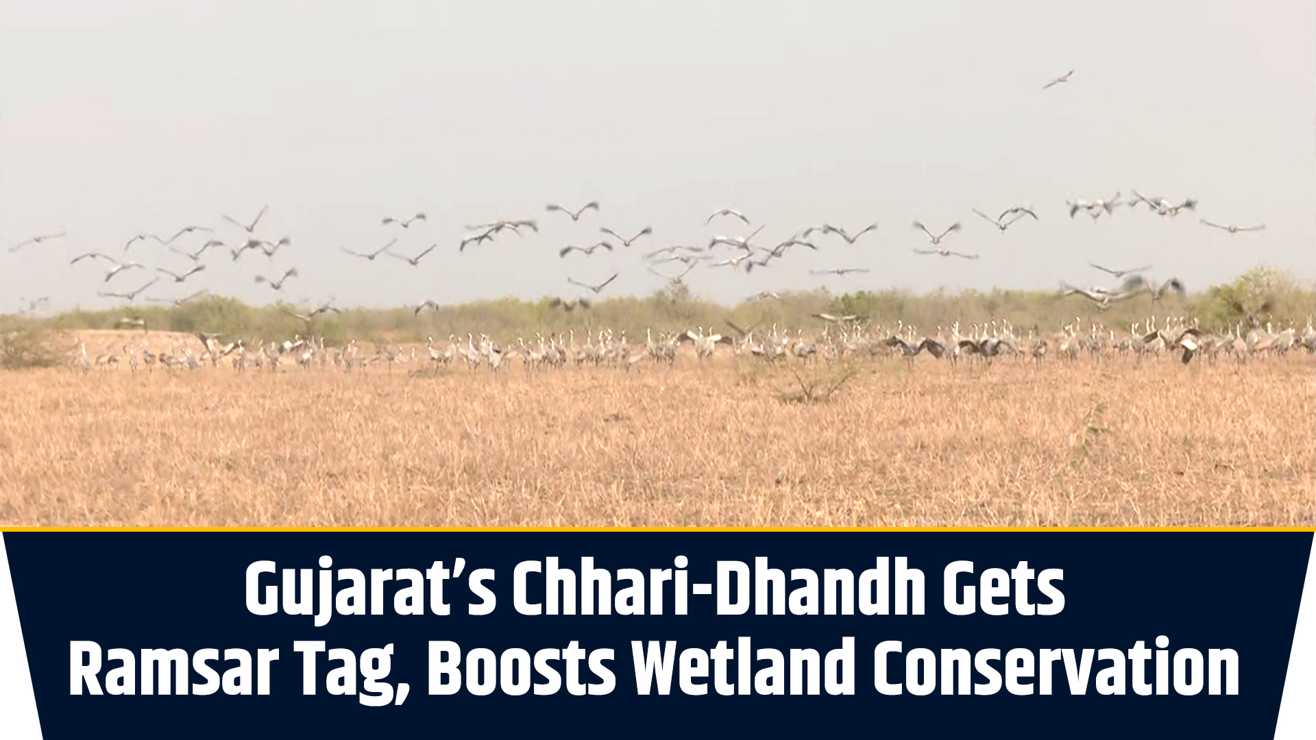 Gujarat’s Chhari-Dhandh gets Ramsar tag, boosts wetland conservation