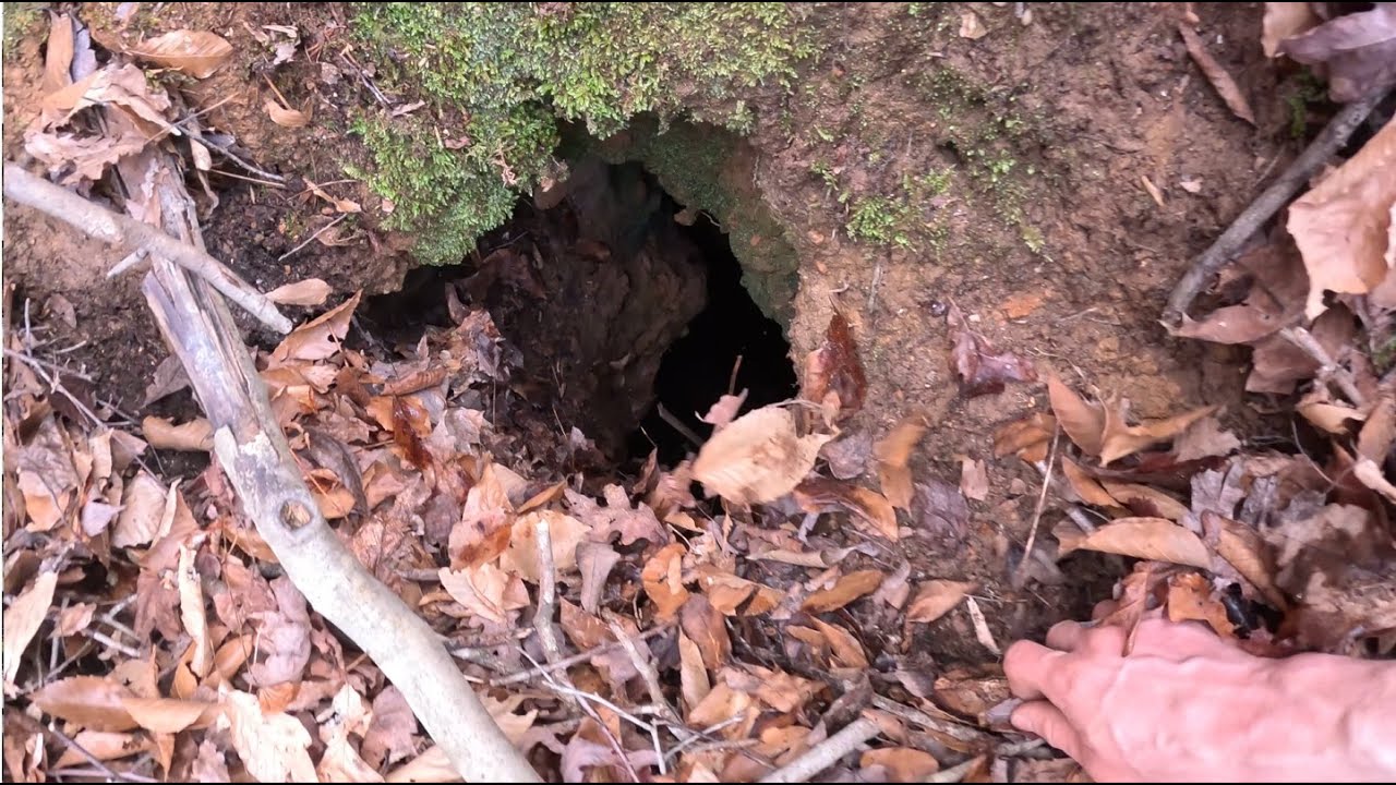 They sent a camera down the cave and wished they hadn’t