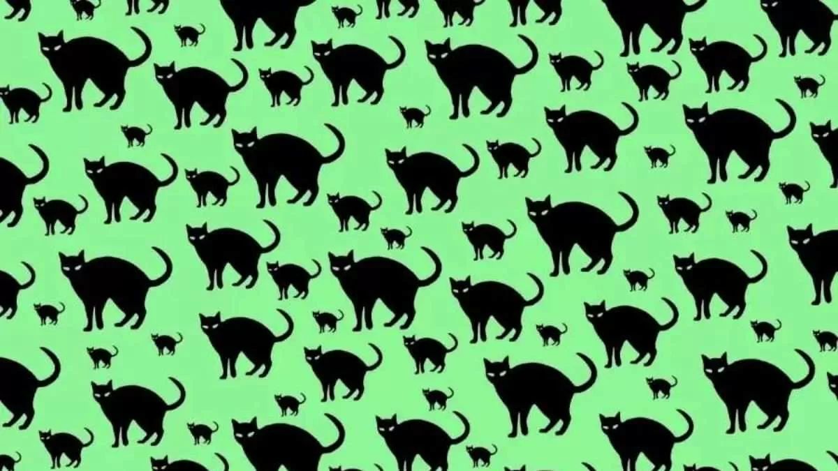 If you possess eyes as sharp as Sherlock, then find the mouse hidden ...