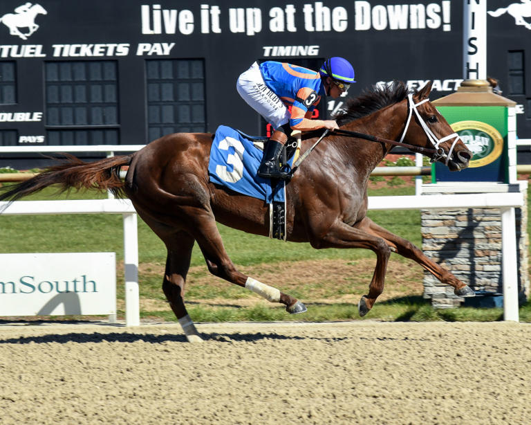 Undefeated Zany leads field of 7 in Ashland