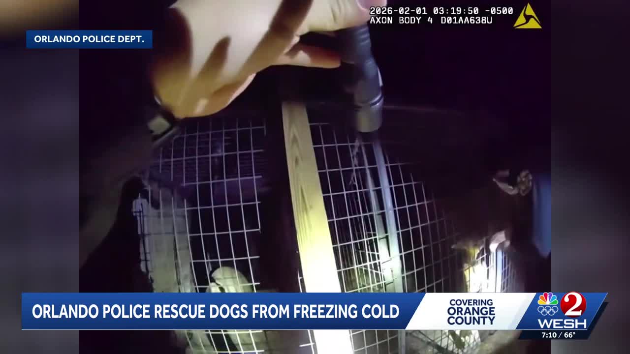 Video: Orlando police rescue 3 dogs from freezing cold temps