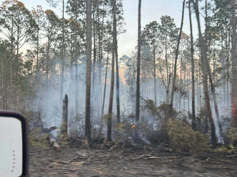 Massive wildfire event overwhelms local resources in South Georgia