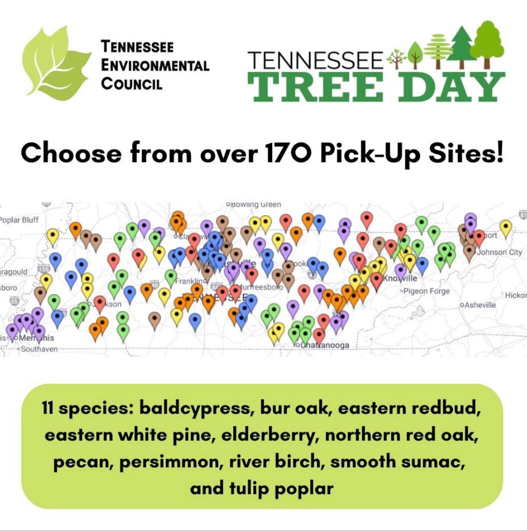 Tennessee Tree Day reservations extended to March 8, 2026