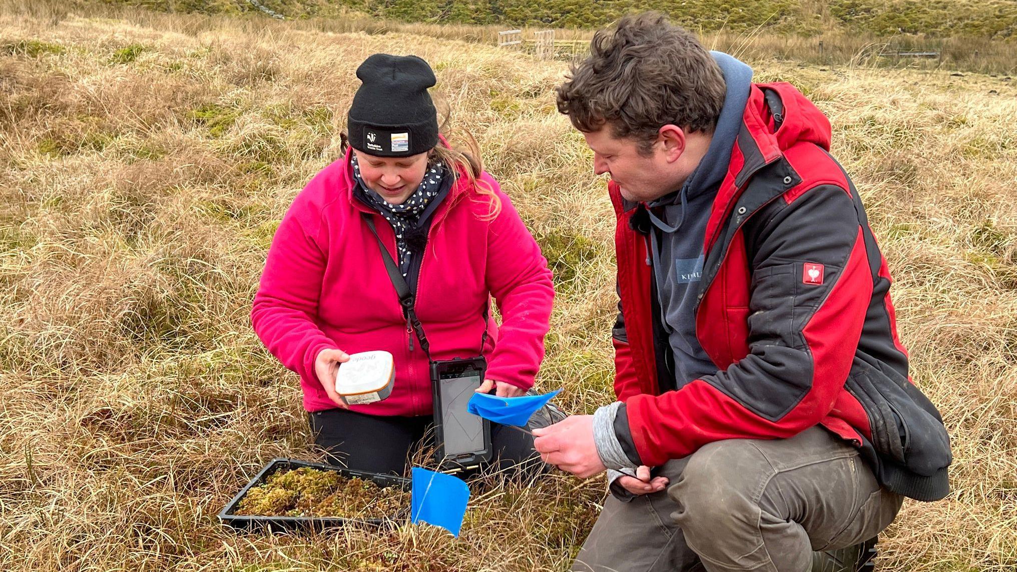 Rare moss species are fighting climate change