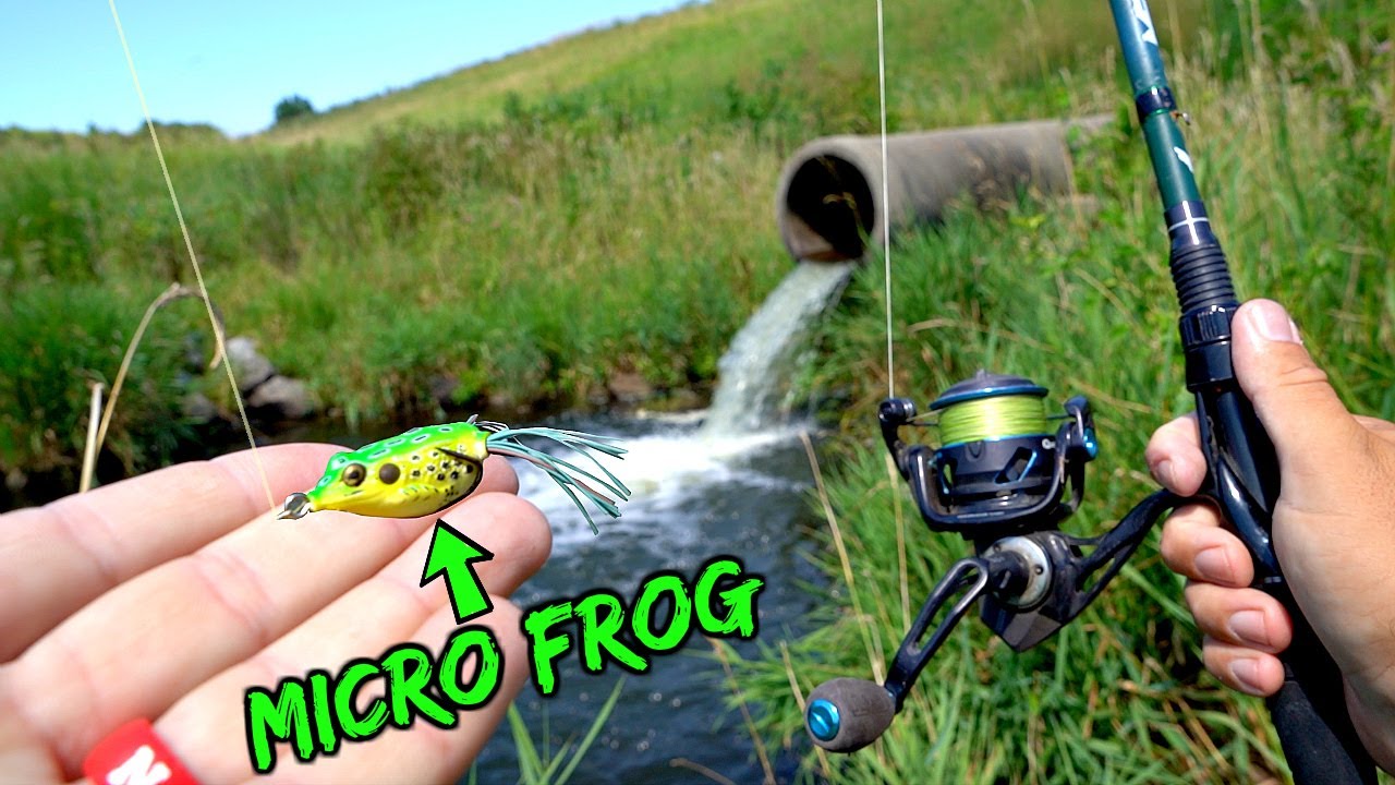 Micro frog lure creek fishing challenge produces huge catches