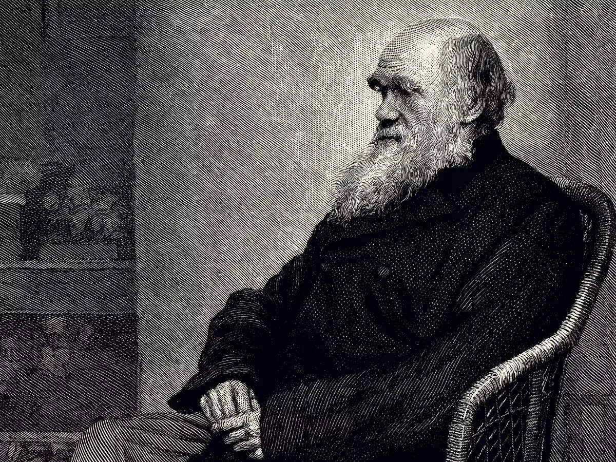 Quote of the day by Charles Darwin: 'If the misery of our poor be ...