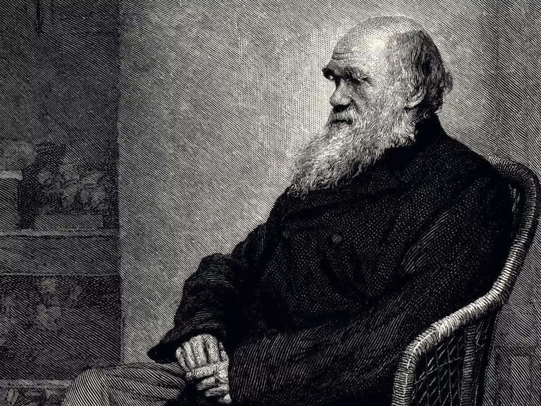 Quote of the day by Charles Darwin: 'If the misery of our poor be ...