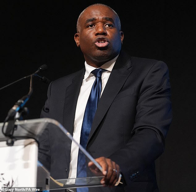 Now Starmer's deputy turns on him: David Lammy says he warned PM over ...
