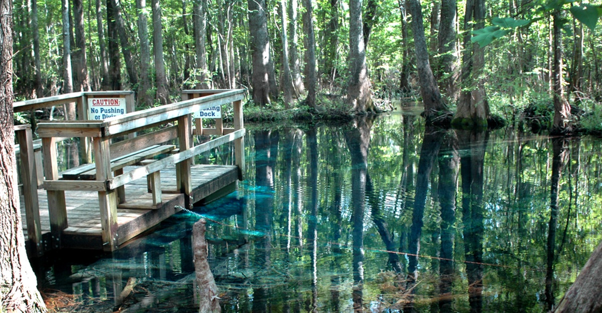 14 Florida spring parks where a quick swim becomes a day trip