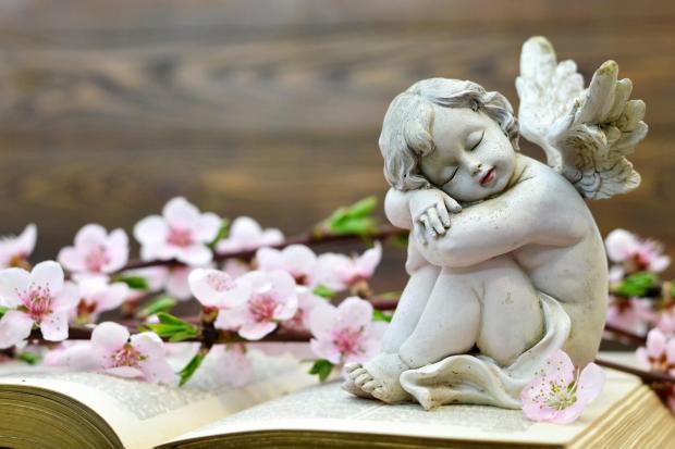 Latest death notices and funeral announcements from the Lancashire ...