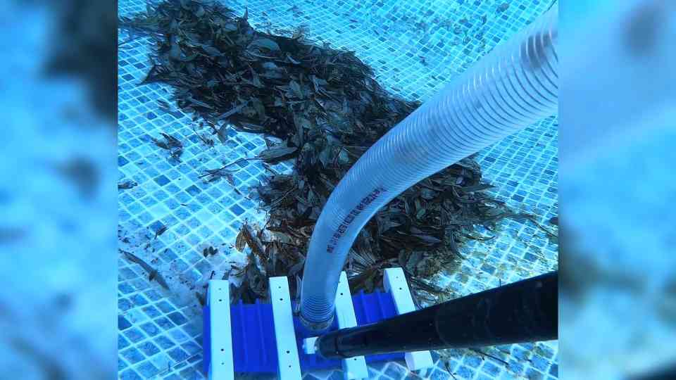 This is what pool cleaning looks like below the surface