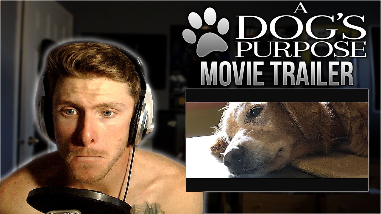 Vapor reacts #42 | A Dog's Purpose official trailer #1 (2017) reaction ...