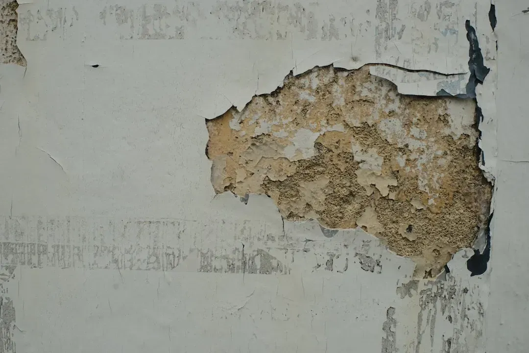Professional cleaners warn: 10 things that make homes feel scary and ...