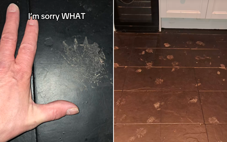 Woman leaves cat door open—then finds terrifying footprints inside house