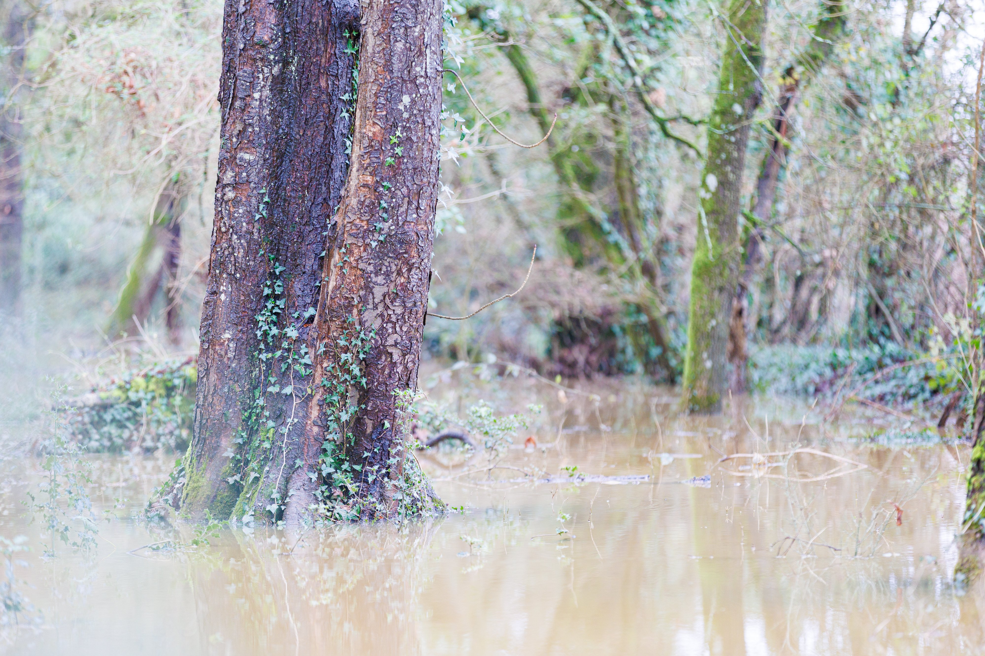 Flooding: Environment Agency's flood alerts near Portsmouth - full list