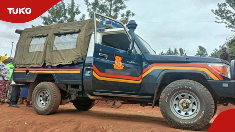 Murang'a man is found murdered, body dumped in maize field hours after ...
