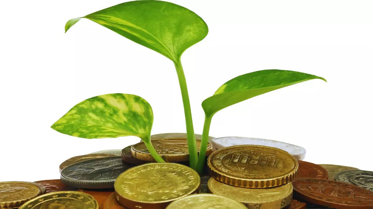 5 vastu-approved plants you should bring to your home today for prosperity