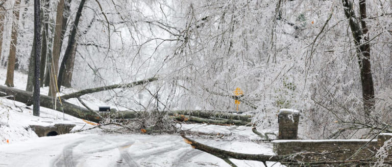 Disaster declarations for Tennessee, Mississippi approved by President ...
