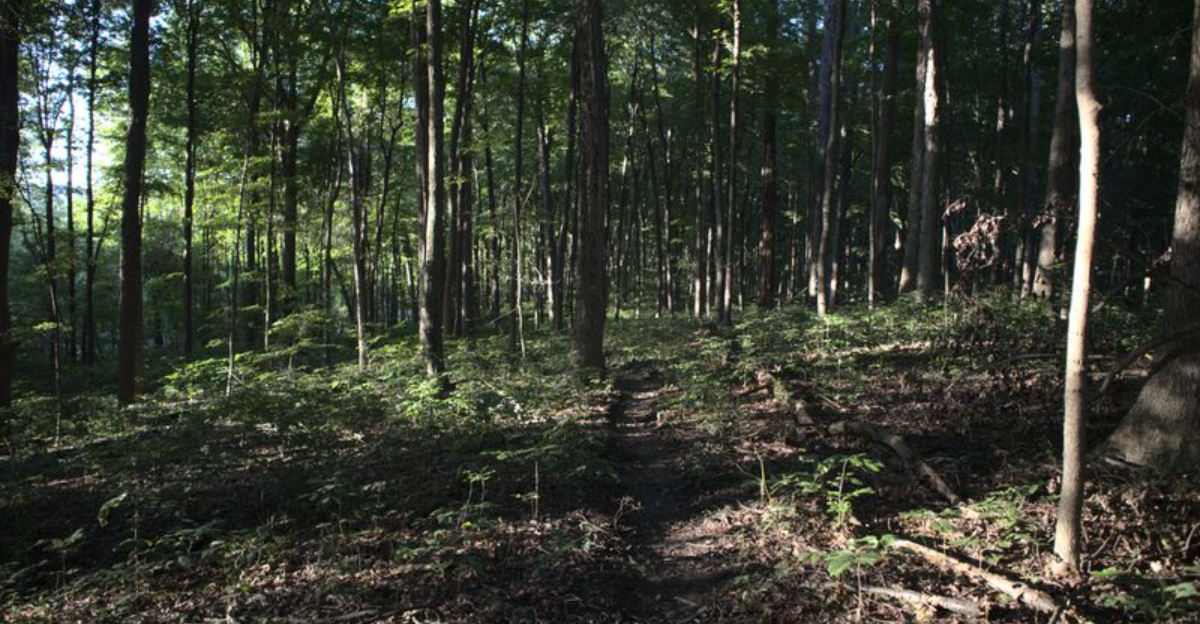 This Indiana nature preserve feels like a hidden gem every season