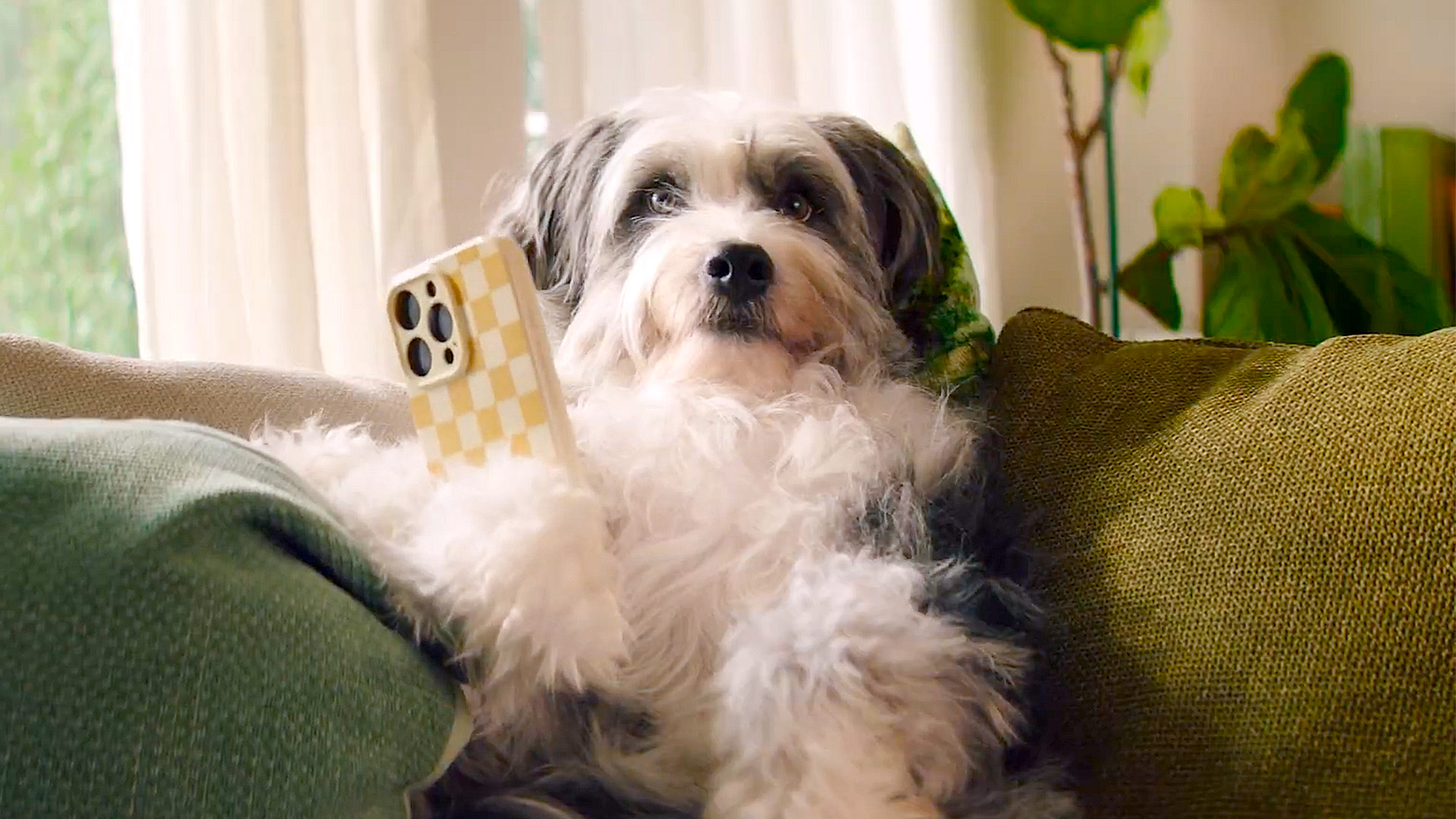 Kirk Herbstreit returns with his dog Peter in Spruce’s Super Bowl LX ad ...