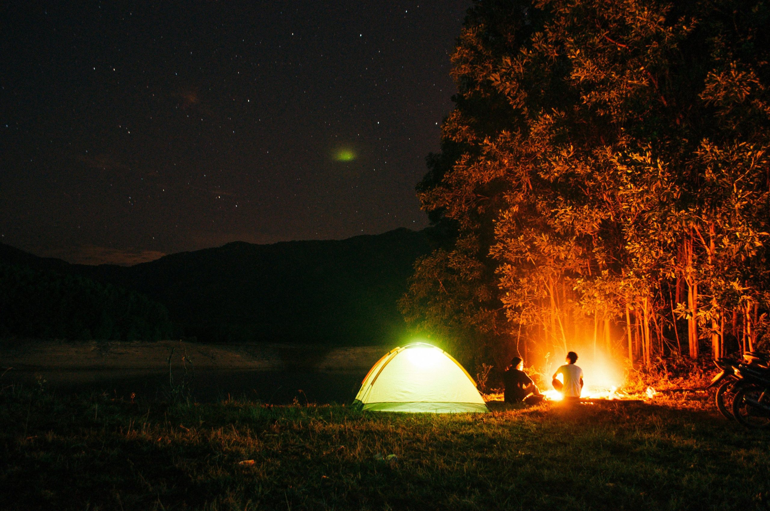 10 things campers do at night that quietly attract wildlife