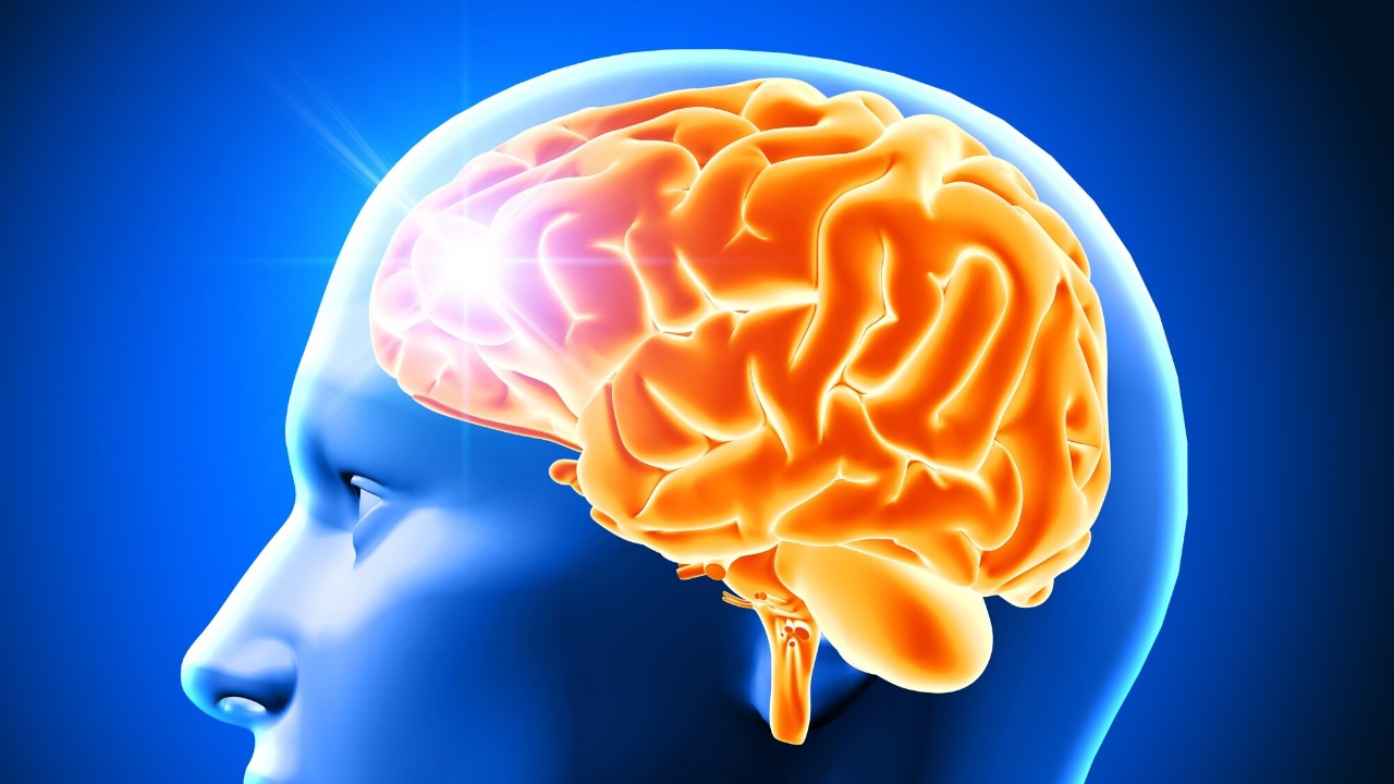 Scientists say daily meditation can literally rewire your brain