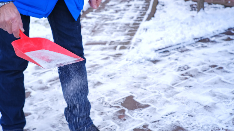 Avoid rock salt damage with an easier-on-your-driveway alternative