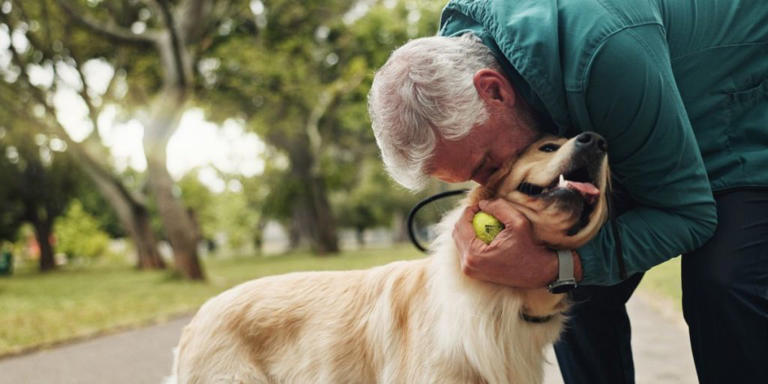 Dog expert says these 11 signs show your dog loves you